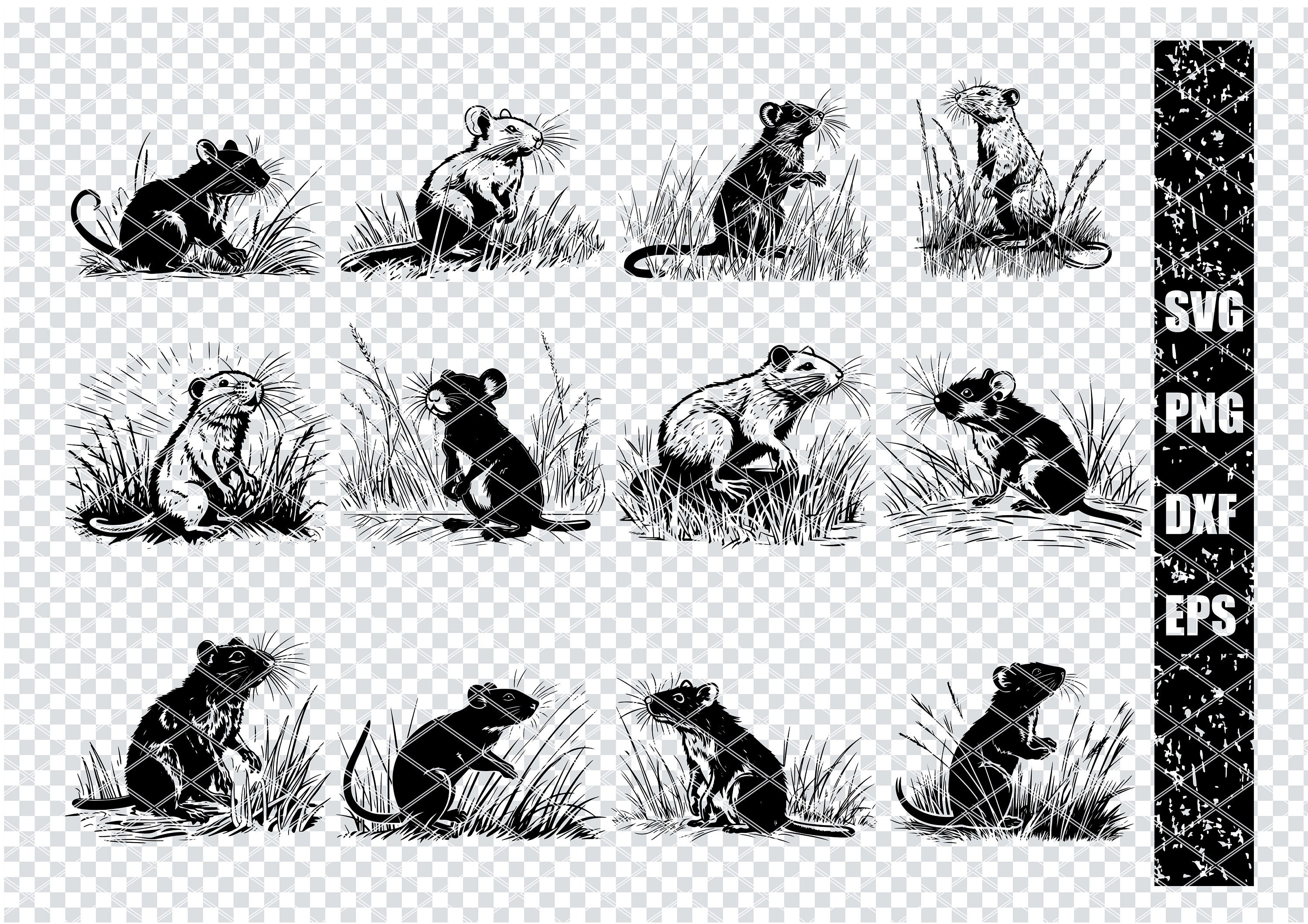 WILD RAT SVG, Rodent Svg Files for Cricut, Urban Rat Pest Clipart ...