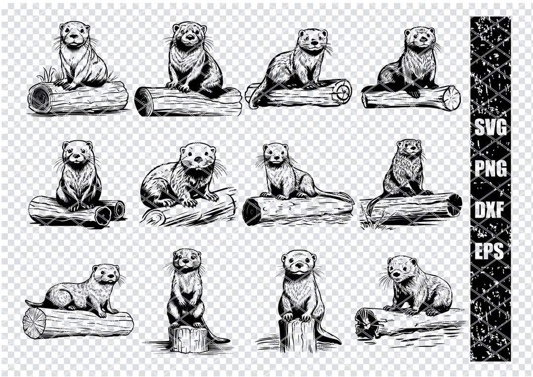 RIVER OTTER SVG, Aquatic Sea Otter Svg Files for Cricut, Sea Mammal ...