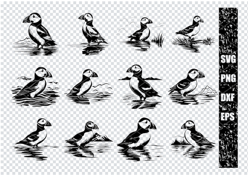 PUFFIN ATLANTIC BIRD Svg, Puffin Seabird Svg Files for Cricut, Coastal ...