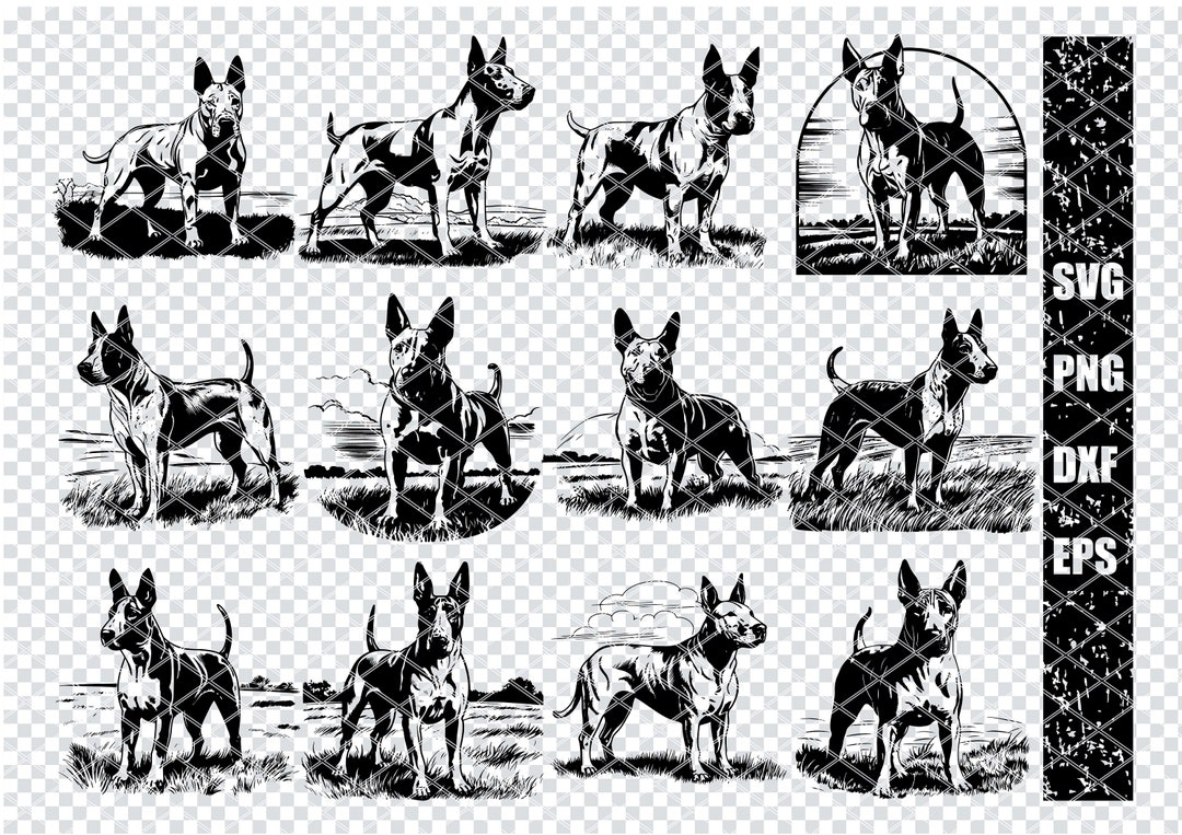 ENGLISH BULL TERRIER Dog Svg, English Bull Terrier Dog Breed Svg Files ...