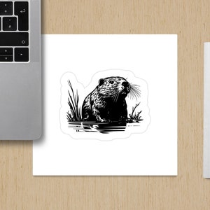 WILD BEAVER SVG, River Beaver Svg Files for Cricut, Mammal Beaver ...