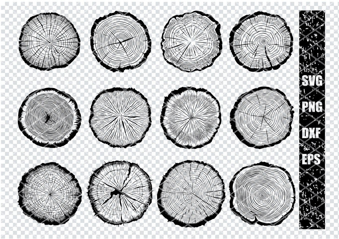 TREE SLICE SLAB Svg, Round Tree Slab Svg Files for Cricut, Timber Ring ...