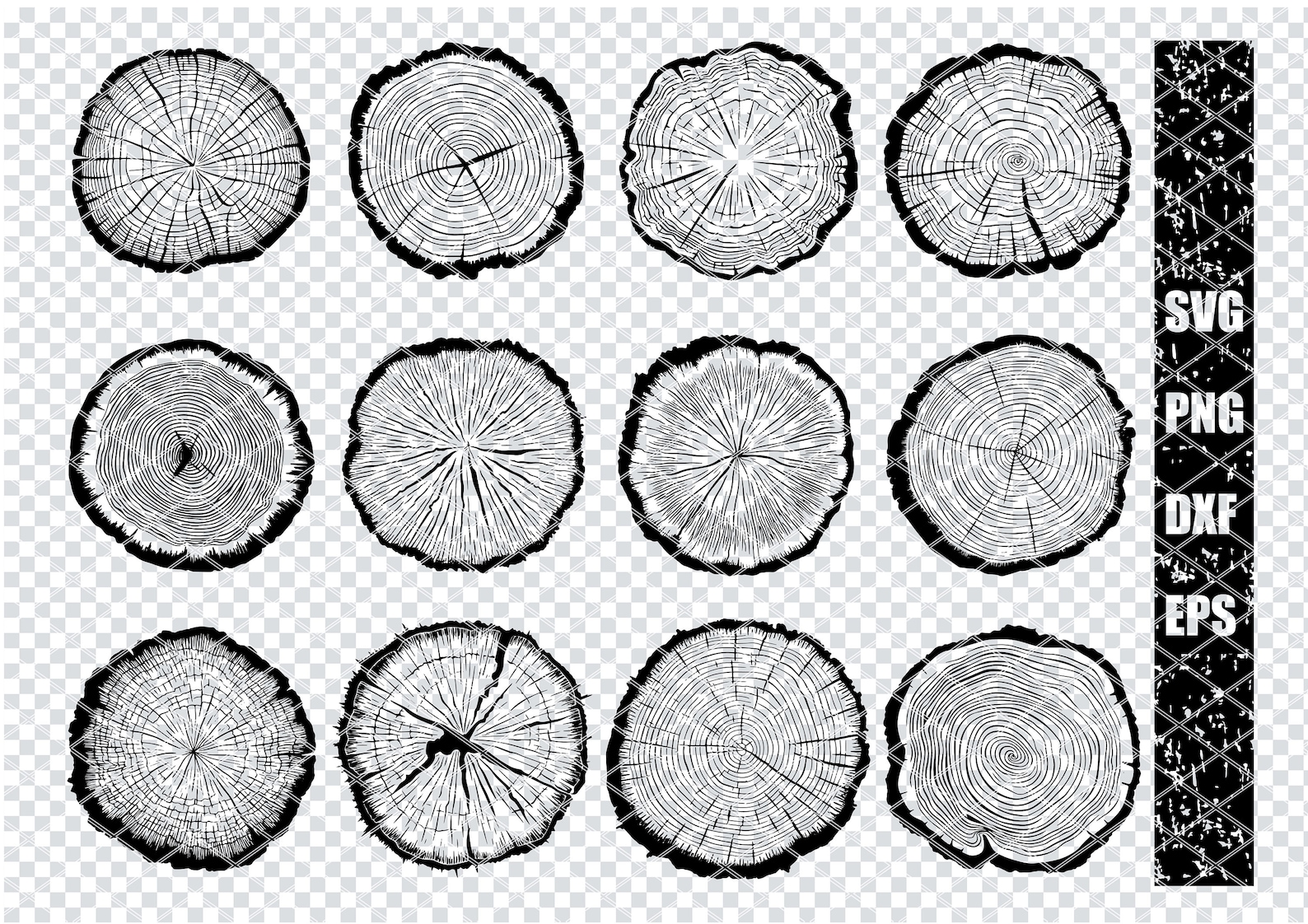 TREE SLICE SLAB Svg, Round Tree Slab Svg Files for Cricut, Timber Ring ...