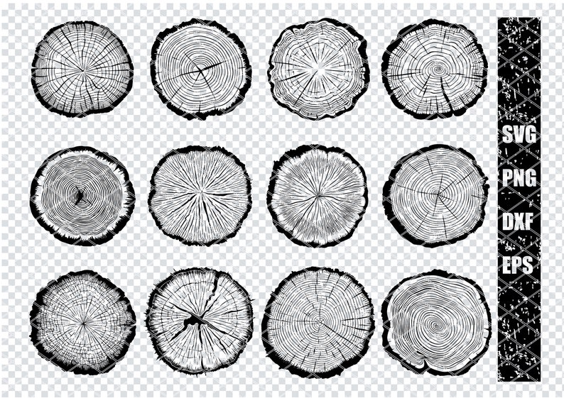 TREE SLICE SLAB Svg, Round Tree Slab Svg Files for Cricut, Timber Ring ...