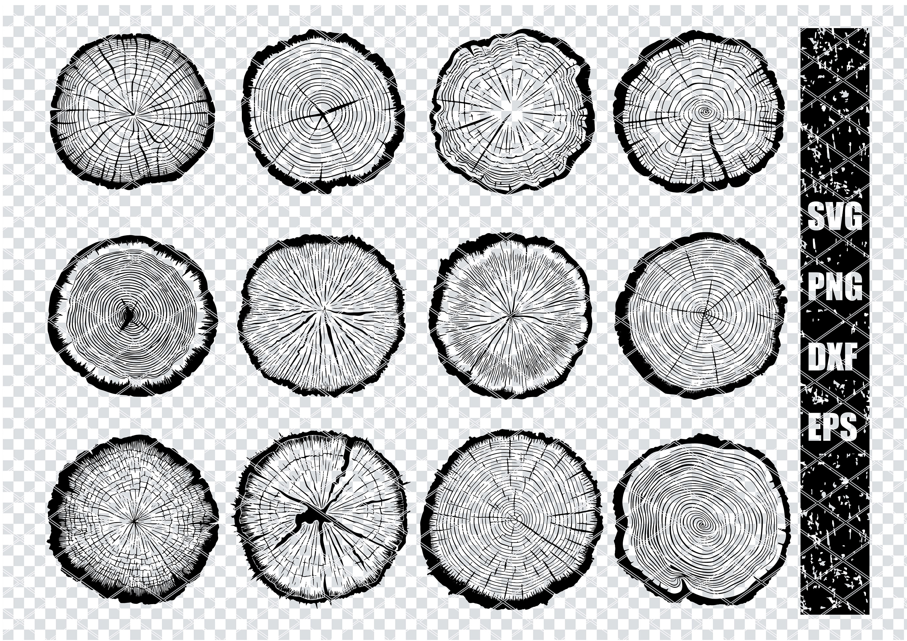 TREE SLICE SLAB Svg, Round Tree Slab Svg Files for Cricut, Timber Ring ...