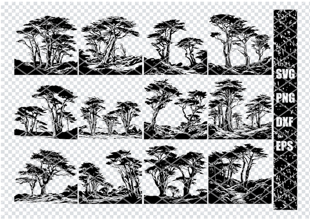 MONTEREY CYPRESS TREE Svg, Cypress Conifer Svg Files for Cricut ...