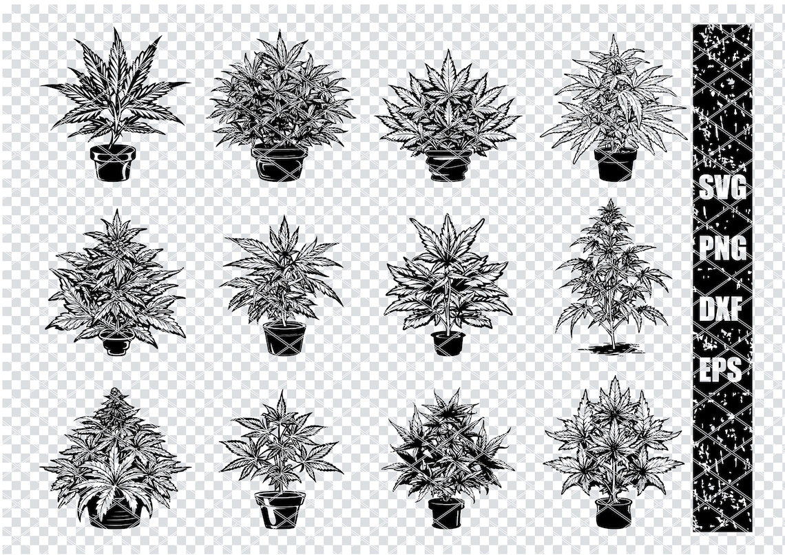 MARIJUANA PLANT SVG, Weed Plant Svg Files for Cricut, Cannabis Clipart ...