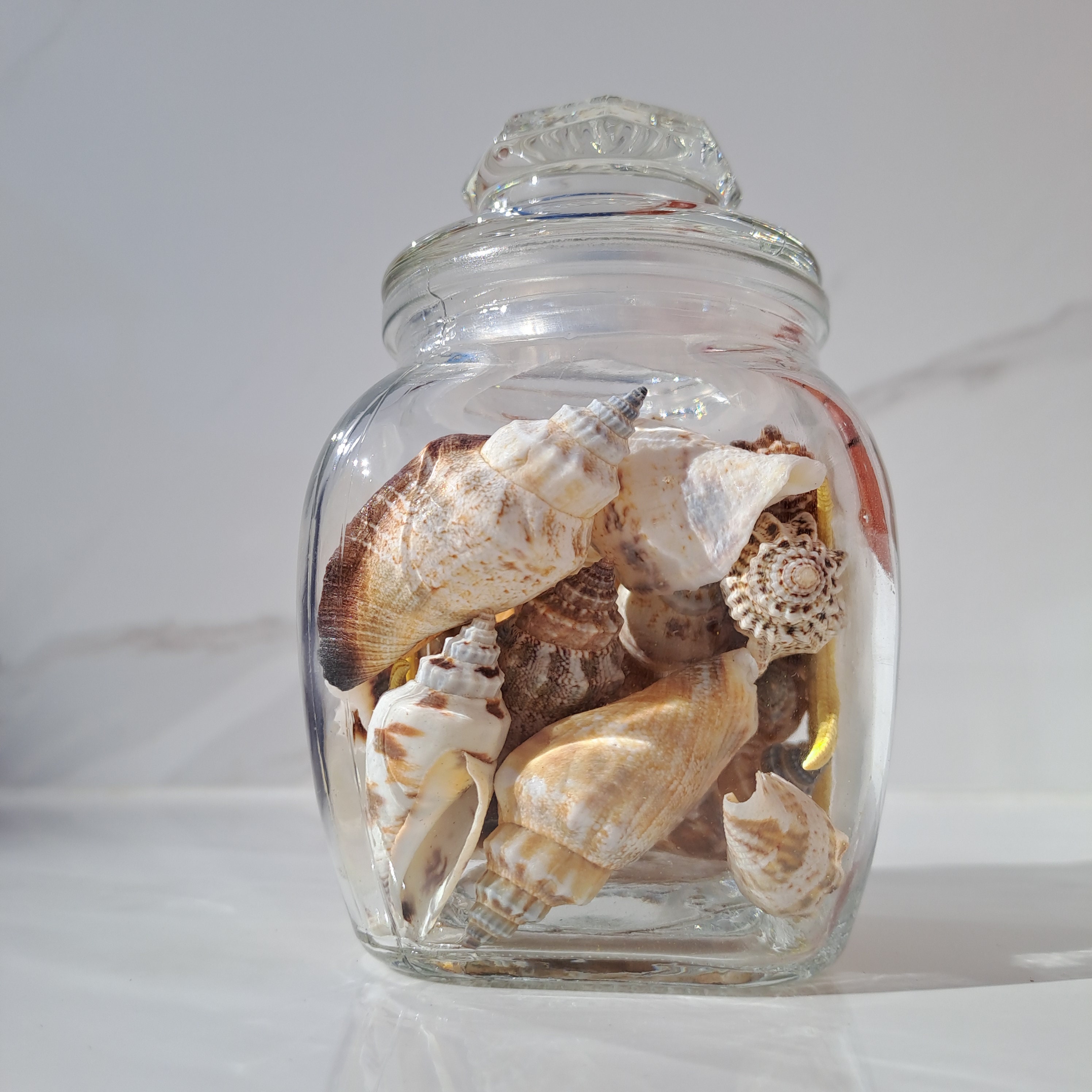 Decorative Shell Jar Starfish Decor for Coastal Table Centerpiece for Summer House Decor for ...