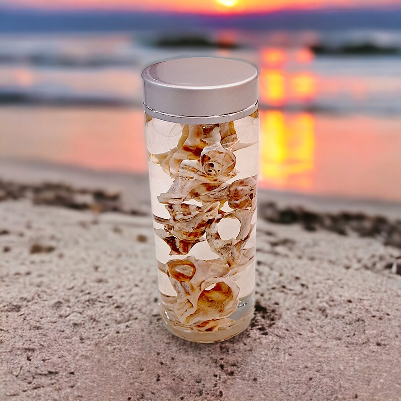 Unique Decor Gift Idea for Coastal Home Decoration Jar Floating ...