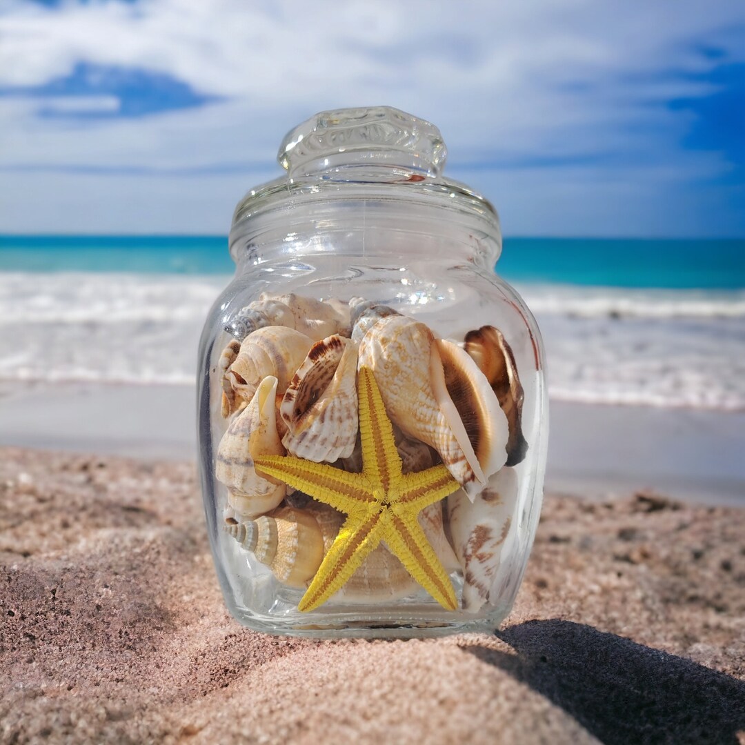 Decorative Shell Jar Starfish Decor for Coastal Table Centerpiece for ...