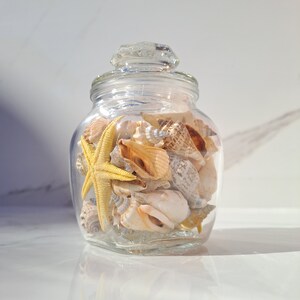 Decorative Shell Jar Starfish Decor for Coastal Table Centerpiece for ...