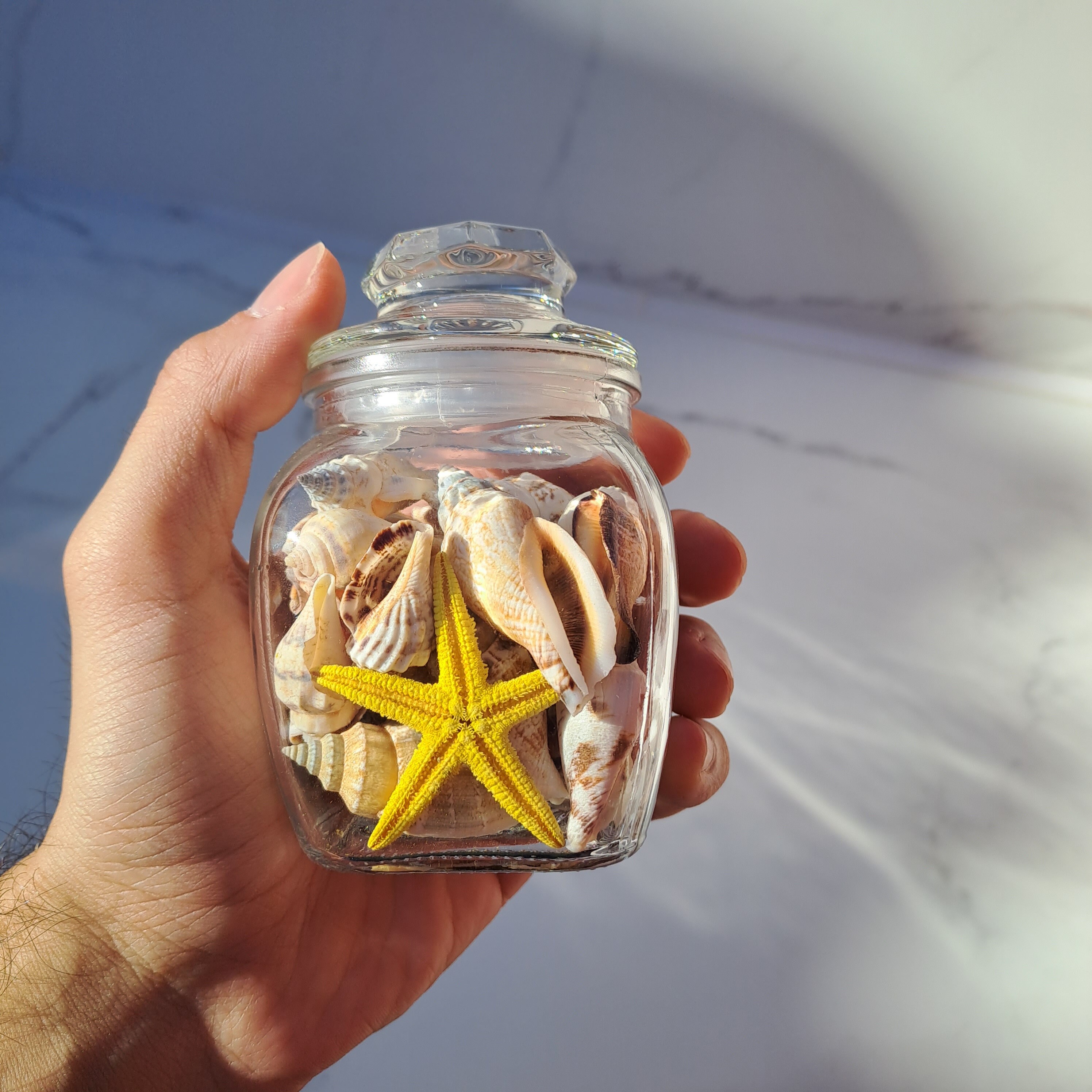 Decorative Shell Jar Starfish Decor for Coastal Table Centerpiece for Summer House Decor for ...