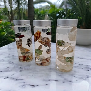 Decorative Seashell Bottle With Floating Shells for Sea in a Bottle for ...