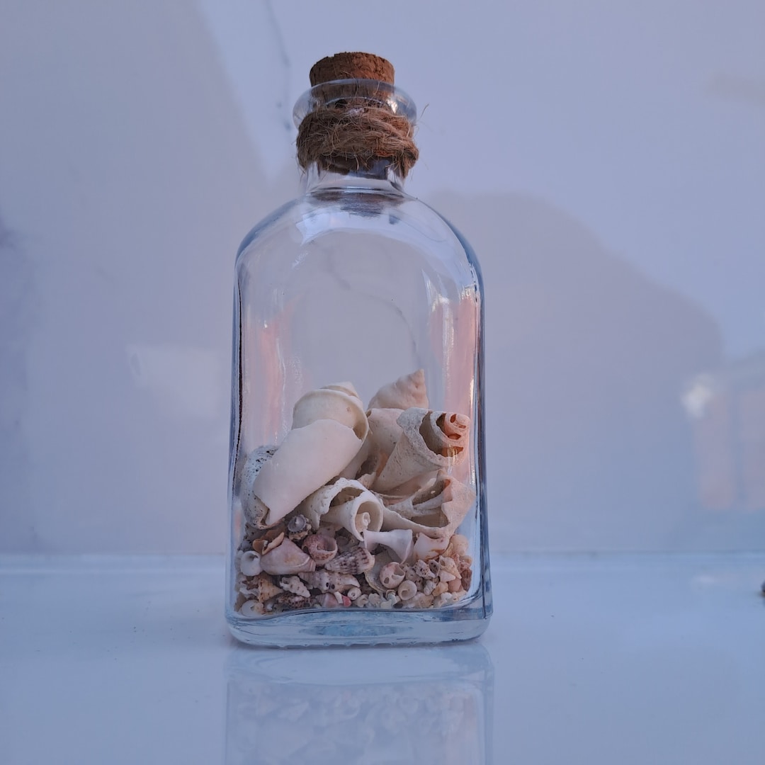 Decorative Seashell Bottle for Beach in a Bottle for Coastal Decor Fo ...