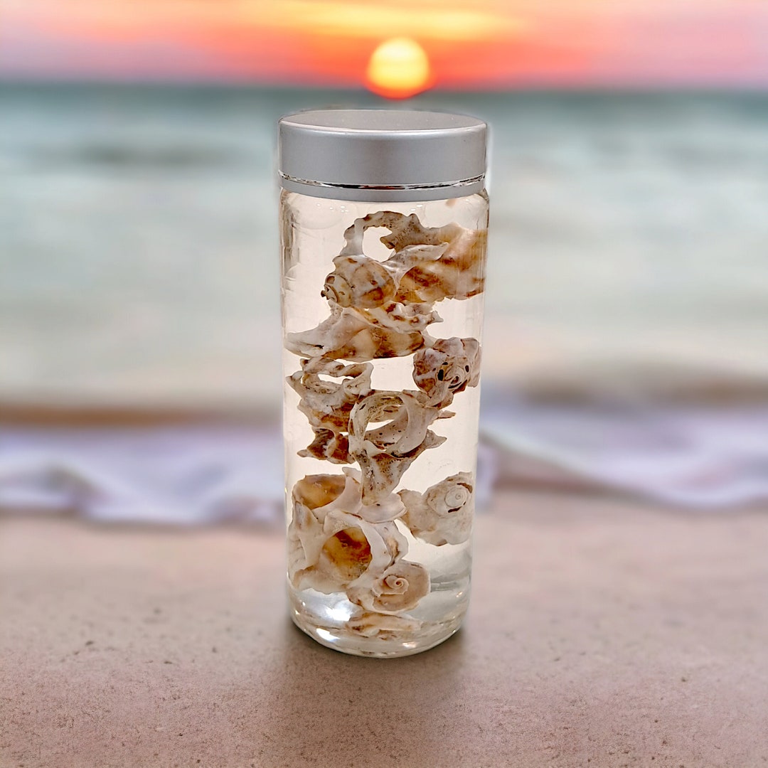 Unique Decor Gift Idea for Coastal Home Decoration Jar Floating ...
