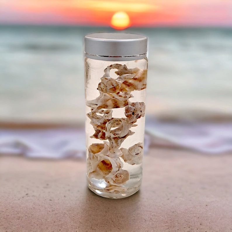 Unique Decor Gift Idea for Coastal Home Decoration Jar Floating ...