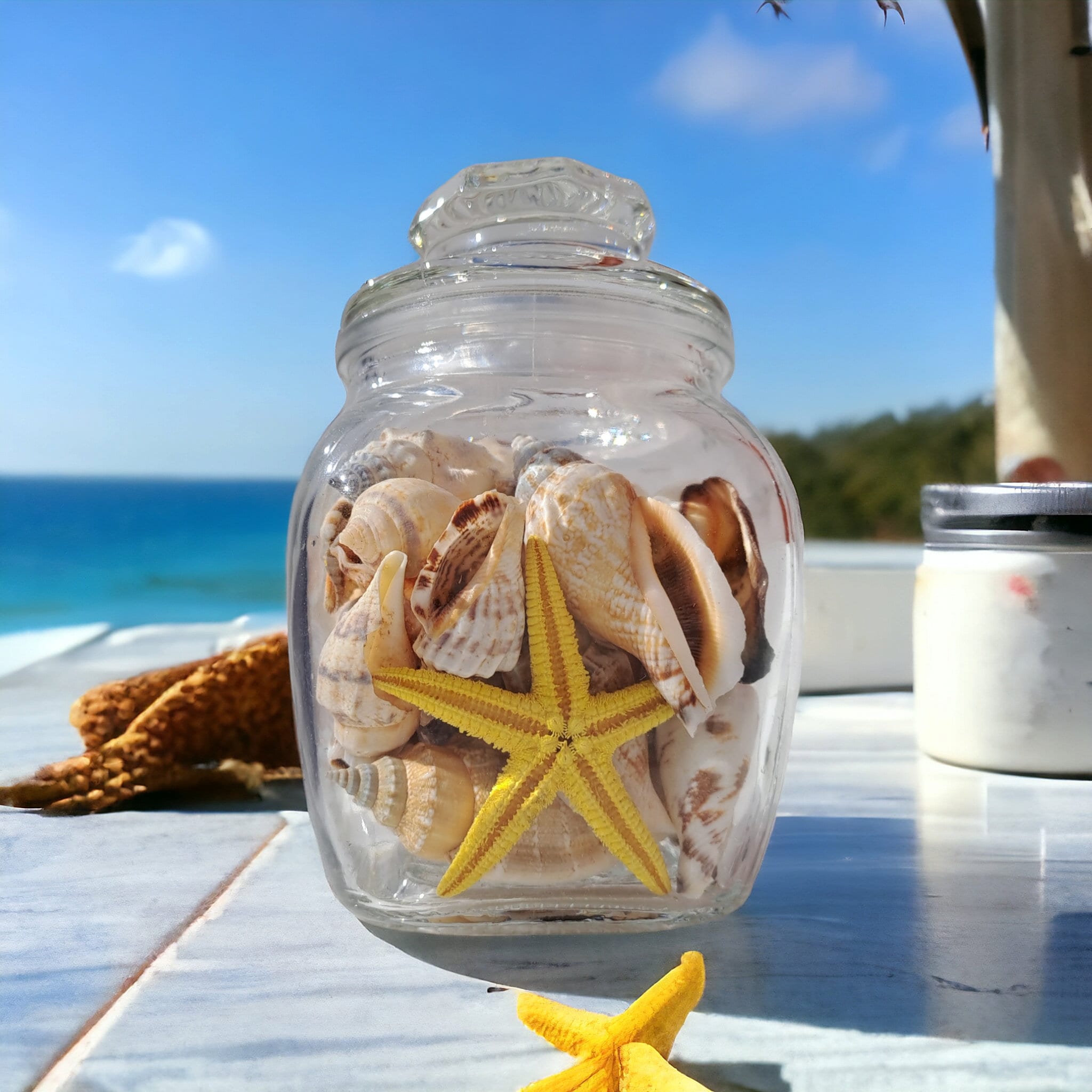 Decorative Shell Jar Starfish Decor for Coastal Table Centerpiece for Summer House Decor for ...