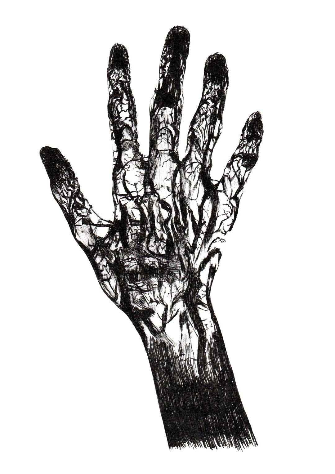 Dark Anatomy Hand Drawing: Gothic Macabre Art (digital Download) - Etsy