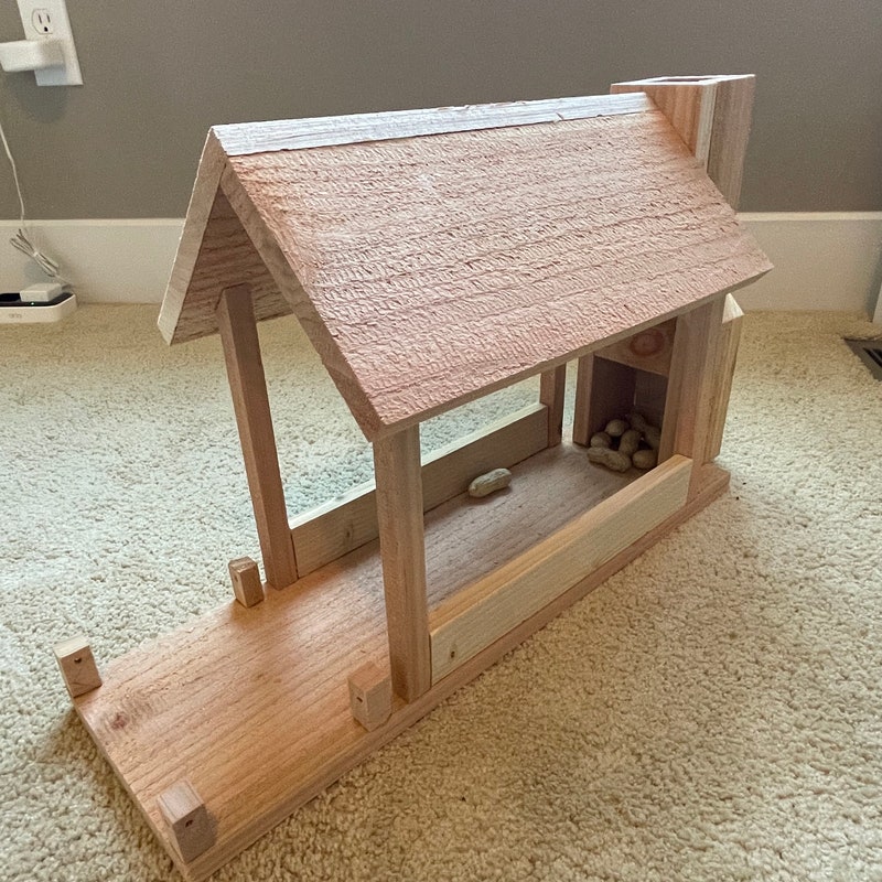 Squirrel House With Camera - Etsy