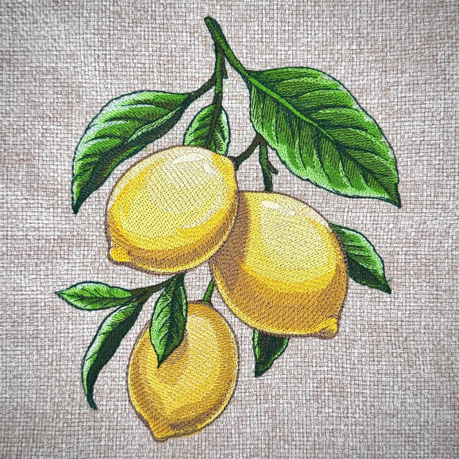 Lemon Embroidery Design – Citrus Fruit Machine Embroidery – Lemon ...
