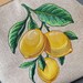 Lemon Embroidery Design – Citrus Fruit Machine Embroidery – Lemon ...