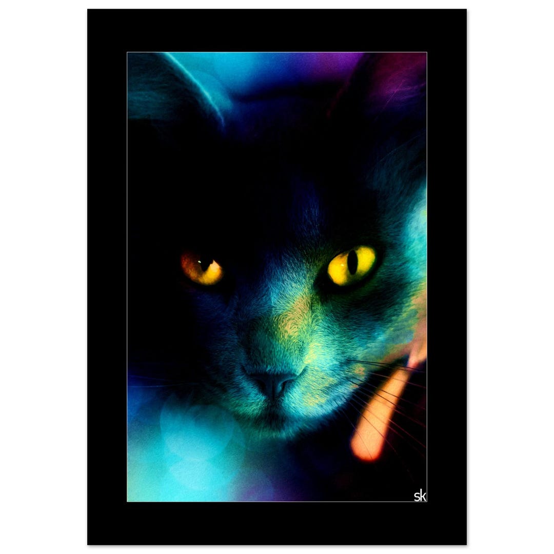 Blue Kitty! - Fine Art Poster - Etsy