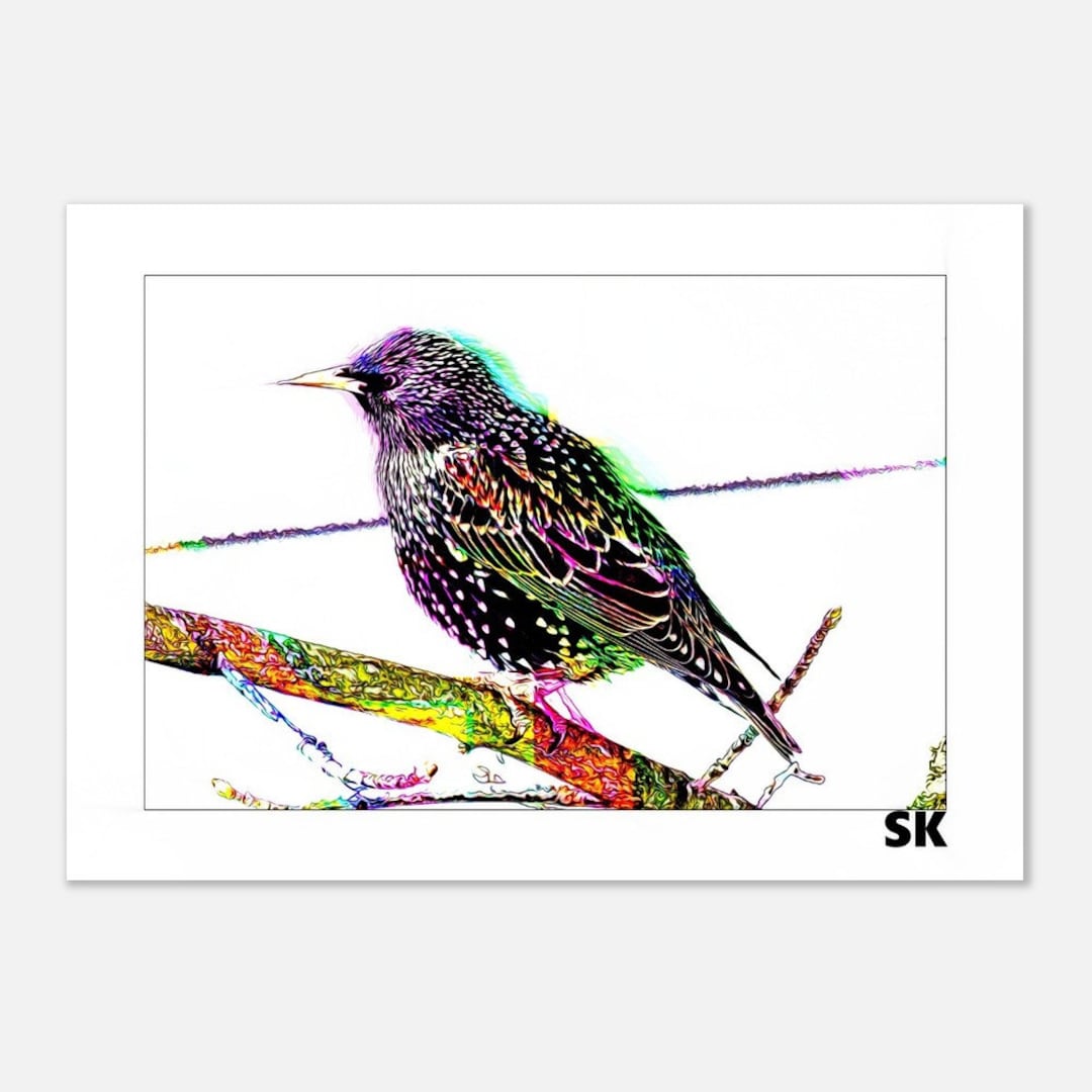 Glitch Starling - Premium Matte Paper Poster - Etsy