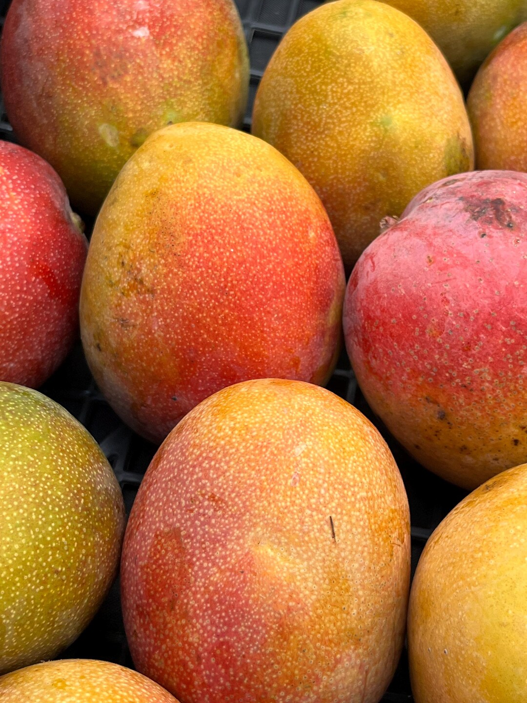 Hayden Mango Box - Etsy