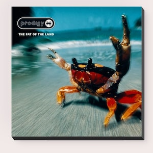 The Prodigy Set of 8 NFC Soundtiles - Etsy