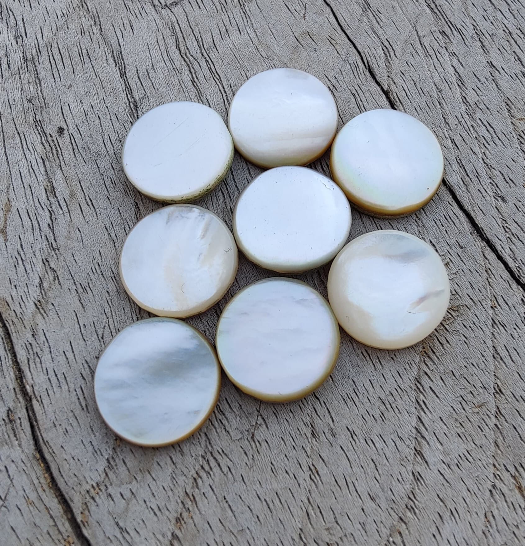 Natural Mother of Pearl Cabochon: Round Flat Back , AAA+ Quality ...