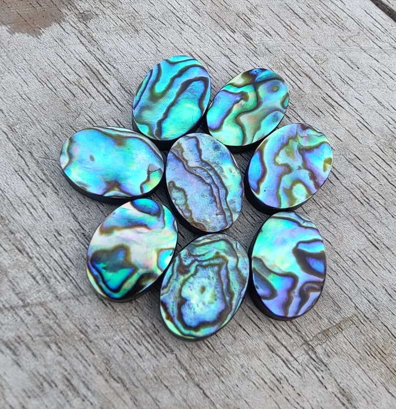 Natural Abalone Shell Cabochon: Oval Flat Back , AAA Quality Calibrated ...
