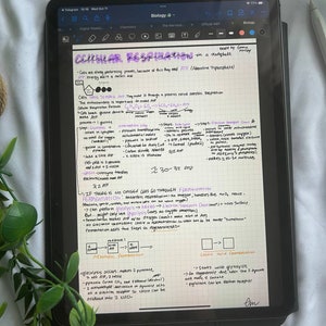 Cellular Respiration Notes and Study Guide - Etsy