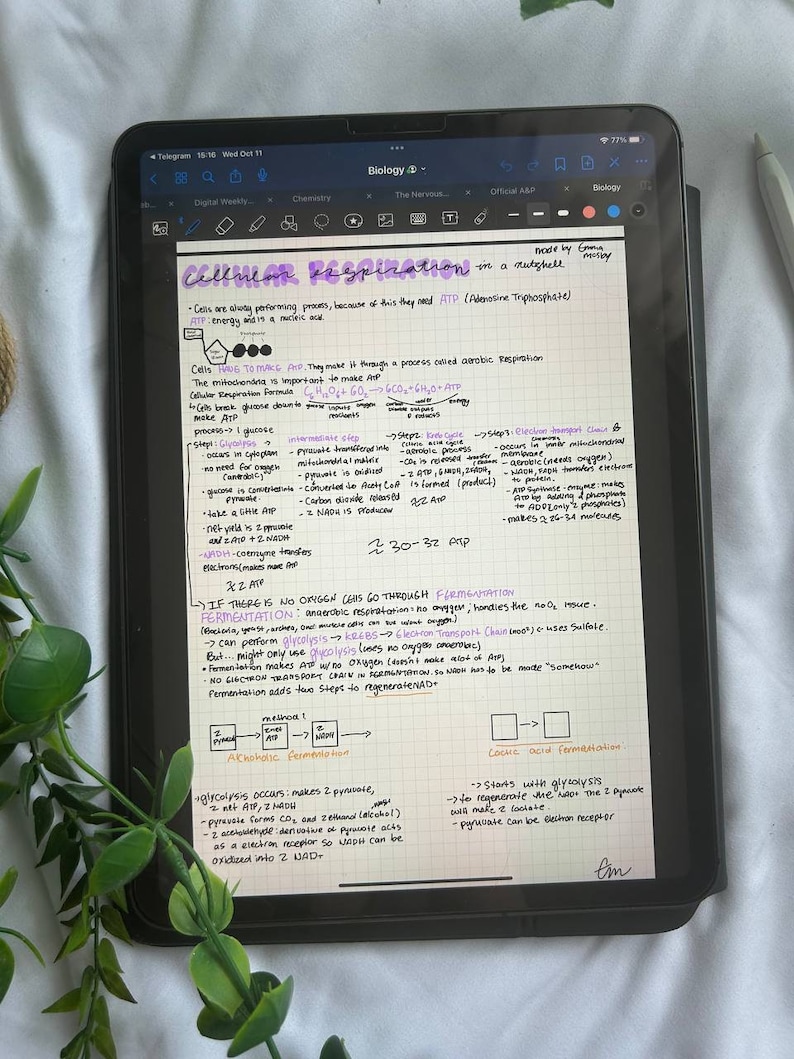 Cellular Respiration Notes and Study Guide - Etsy