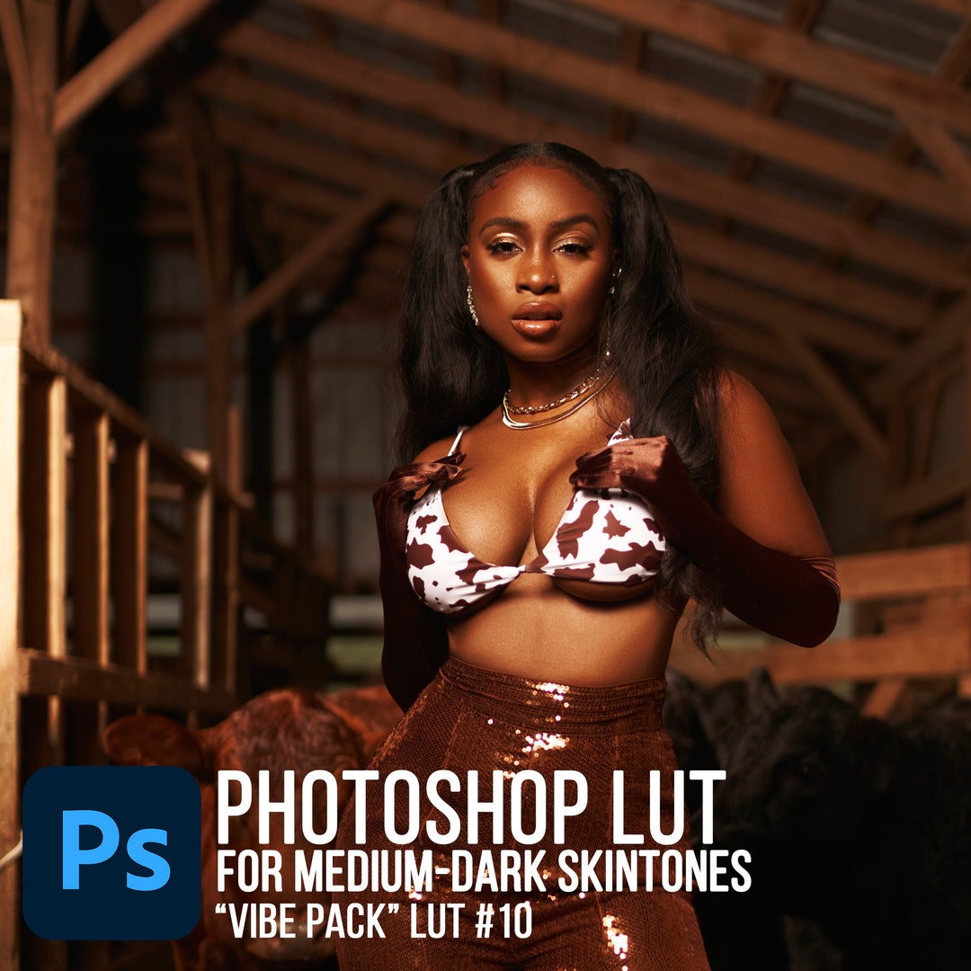 PS LUT #10, Brown-dark Skintones, Portrait LUT for Photoshop (from Vibe Luts Pack) - Etsy
