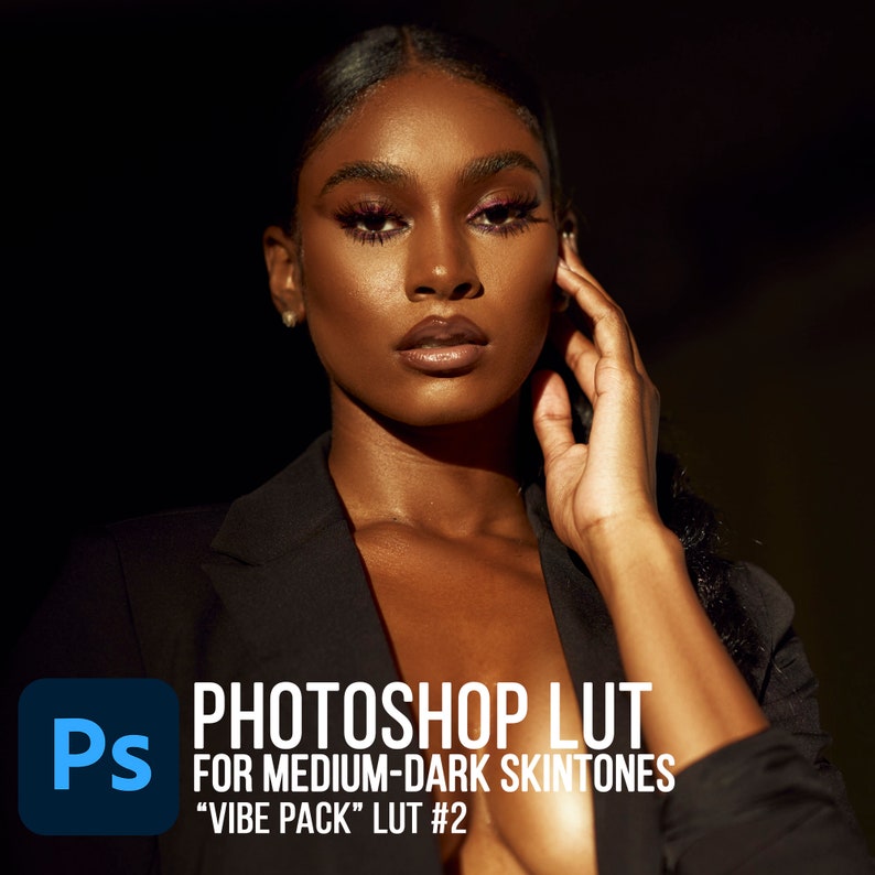 PS LUT #2, Brown-dark Skintones, Portrait LUT for Photoshop (from Vibe ...