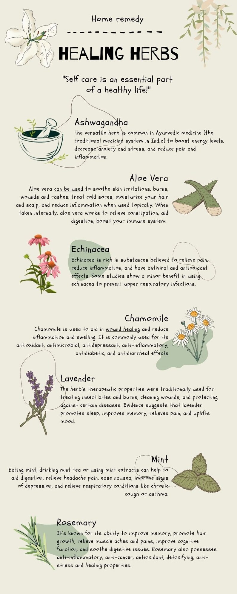 Healing Herbs Poster - Etsy