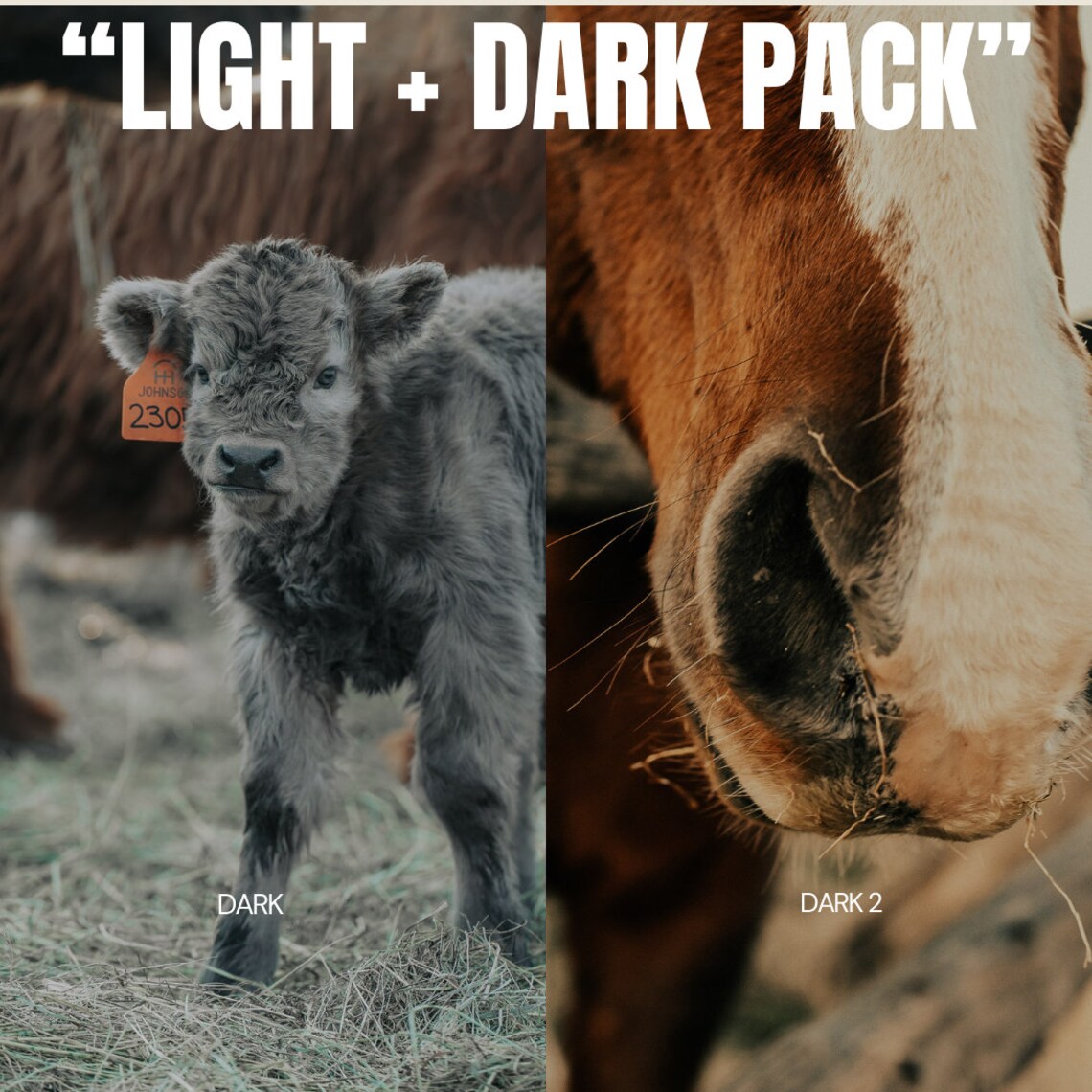 Light & Dark Pack: Enhance Contrast and Illuminate Brilliance ...