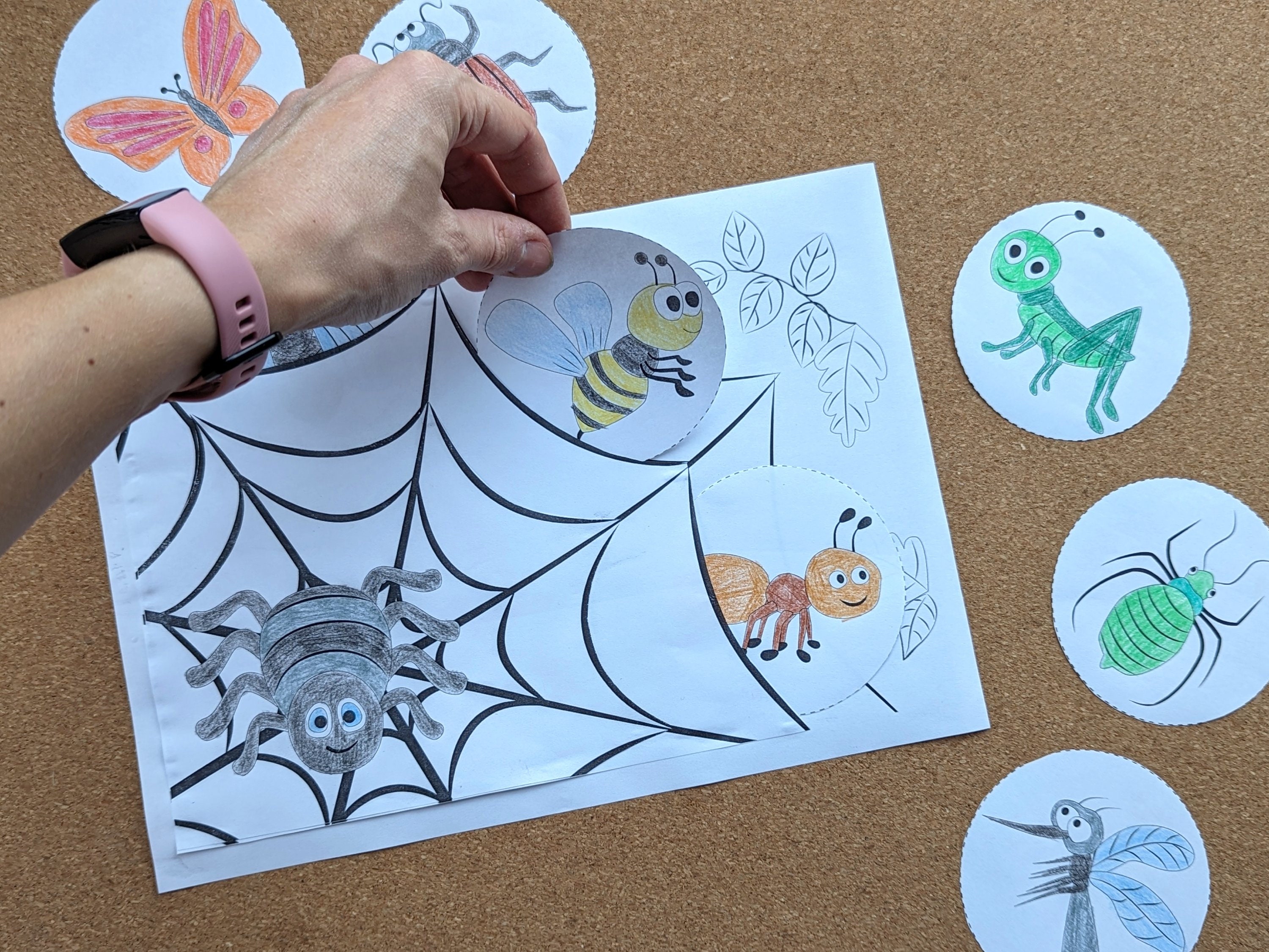 Spider and Insects Paper Craft, Kids Coloring Pages, Homeschool ...