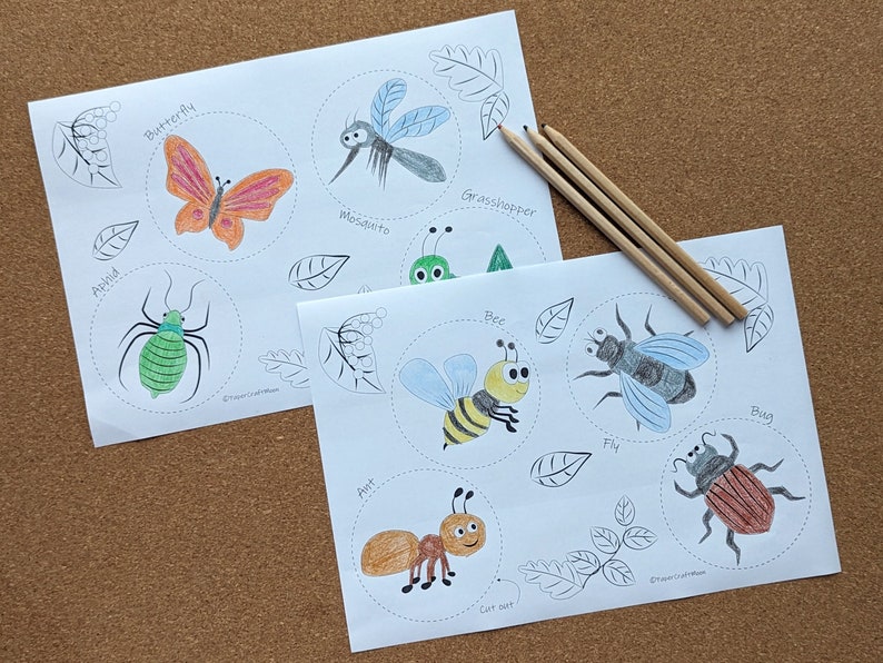 Spider and Insects Paper Craft, Kids Coloring Pages, Homeschool ...