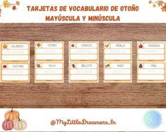 Literacy Play Activities for Over 30 Themes Suitable for - Etsy