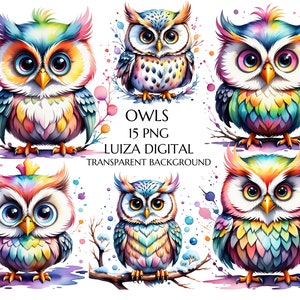 Colorful Cute Owl Clipart, Bundle Vibrant Colors, Watercolor Floral Owl ...