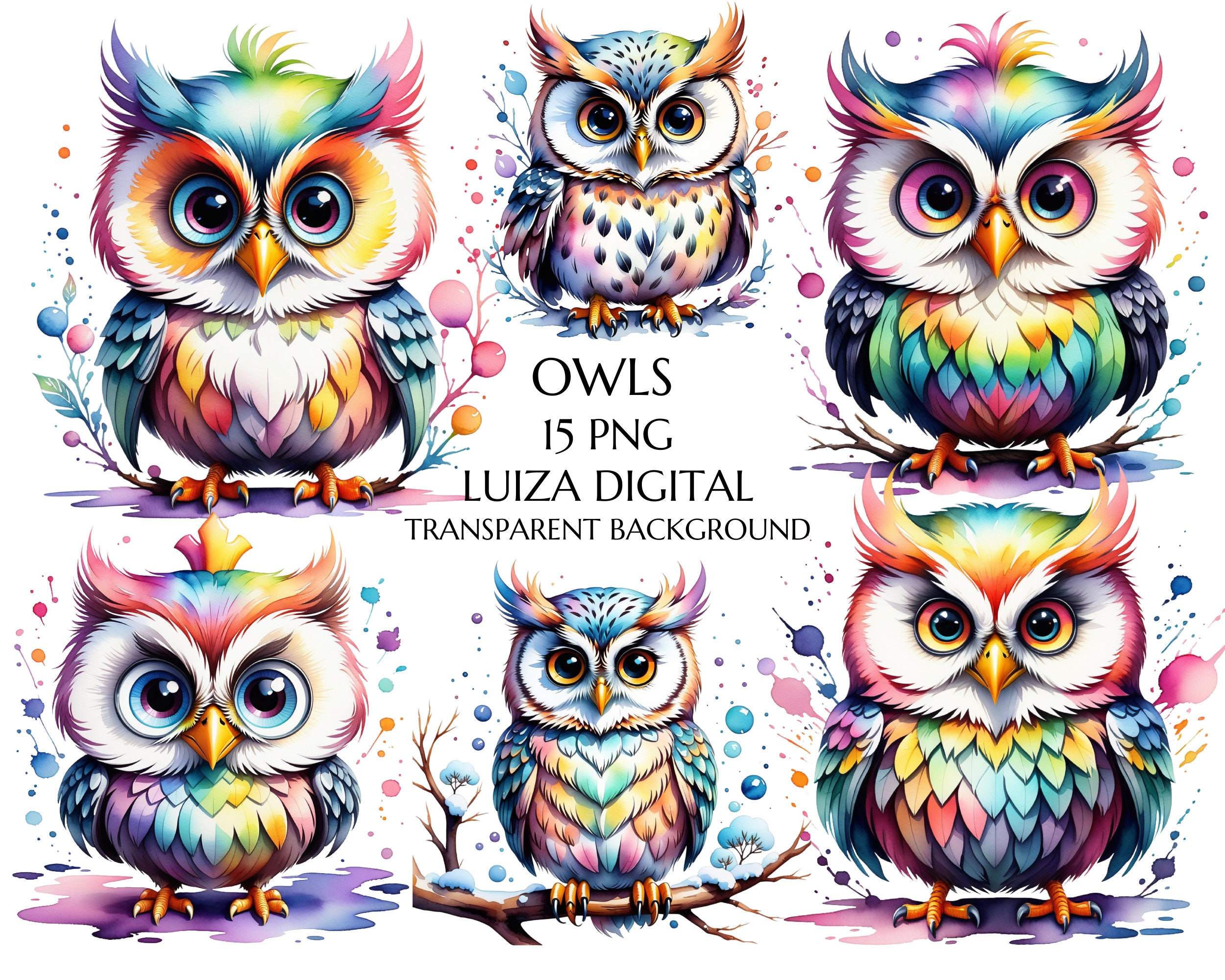 Colorful Cute Owl Clipart, Bundle Vibrant Colors, Watercolor Floral Owl ...