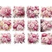 Peony Watercolor Clipart, Peony Floral Clipart, Pink Peony Clipart ...
