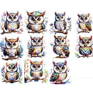 Colorful Cute Owl Clipart, Bundle Vibrant Colors, Watercolor Floral Owl ...