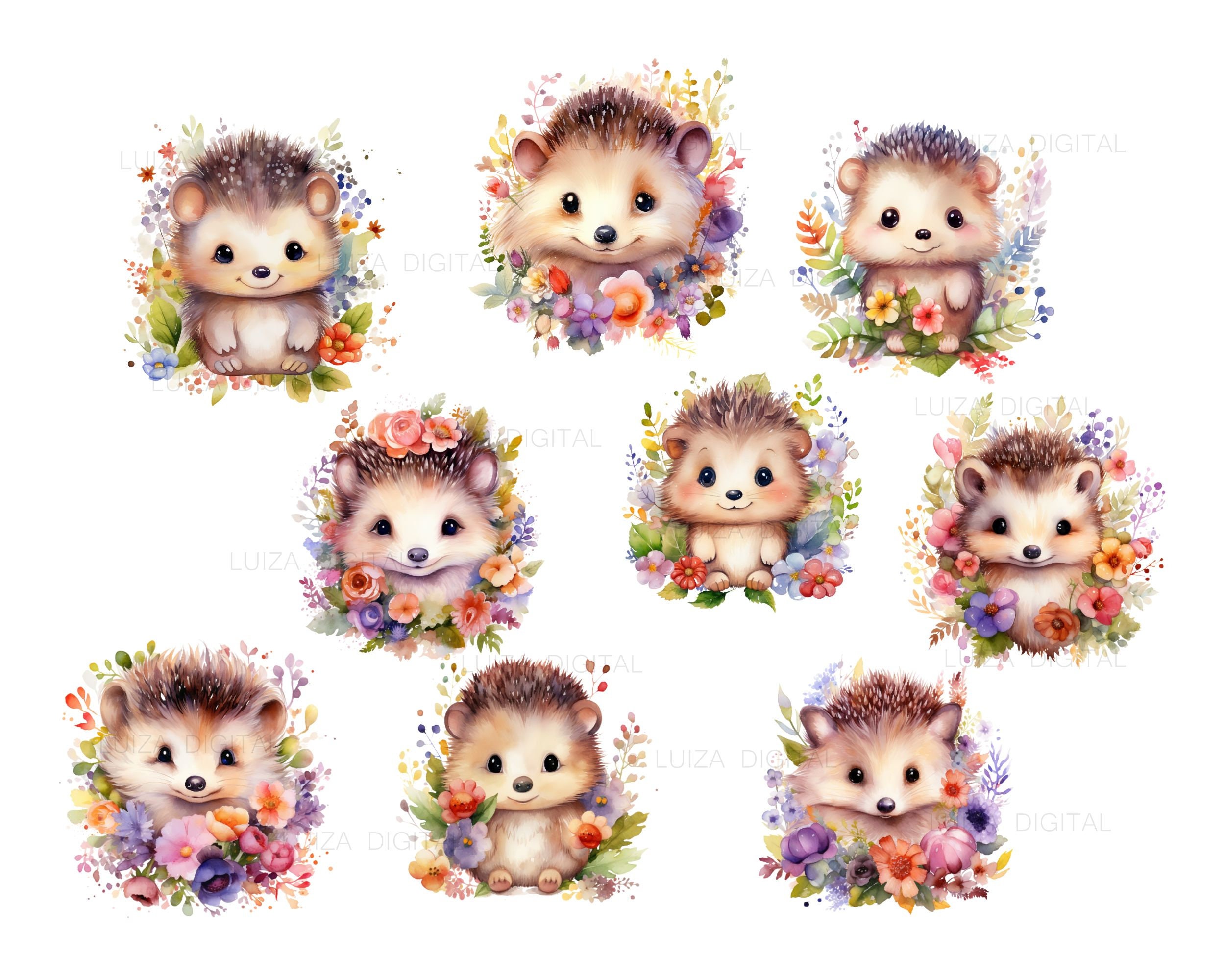 Hedgehog Clipart Floral Hedgehog Clipart Nursery Spring - Etsy