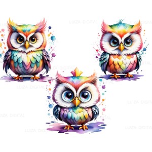 Colorful Cute Owl Clipart, Bundle Vibrant Colors, Watercolor Floral Owl ...