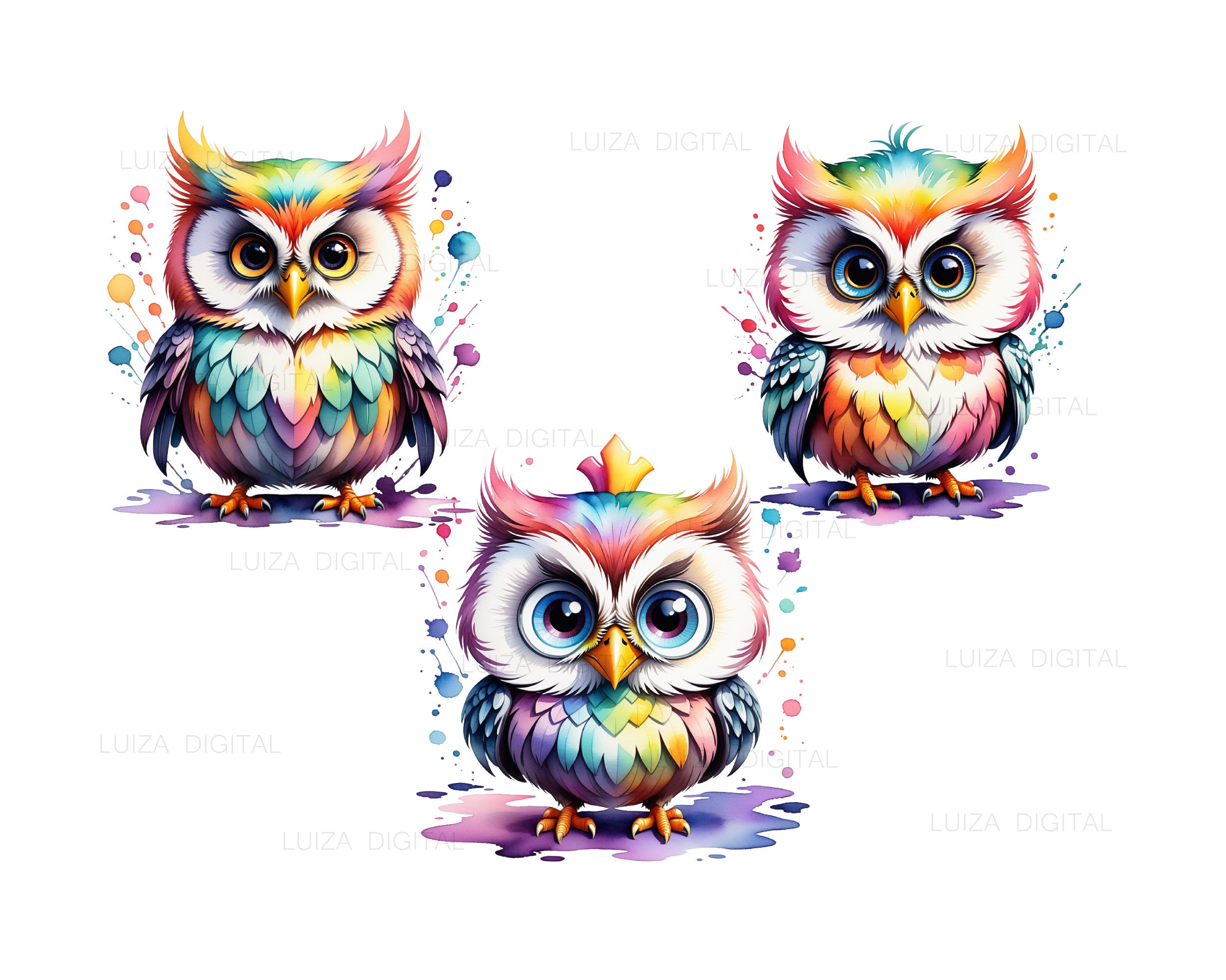 Colorful Cute Owl Clipart, Bundle Vibrant Colors, Watercolor Floral Owl ...
