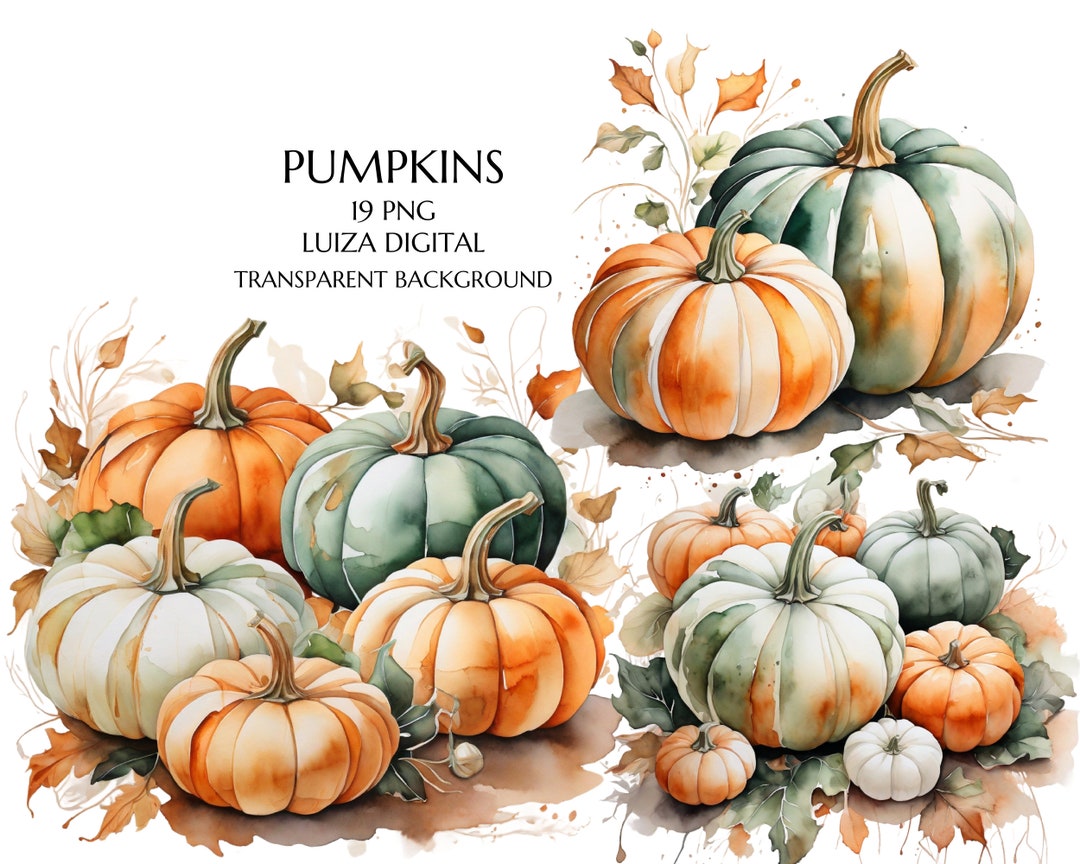 Watercolor Pumpkin Clipart, Autumn Clipart, Green and Orange Pumpkin ...