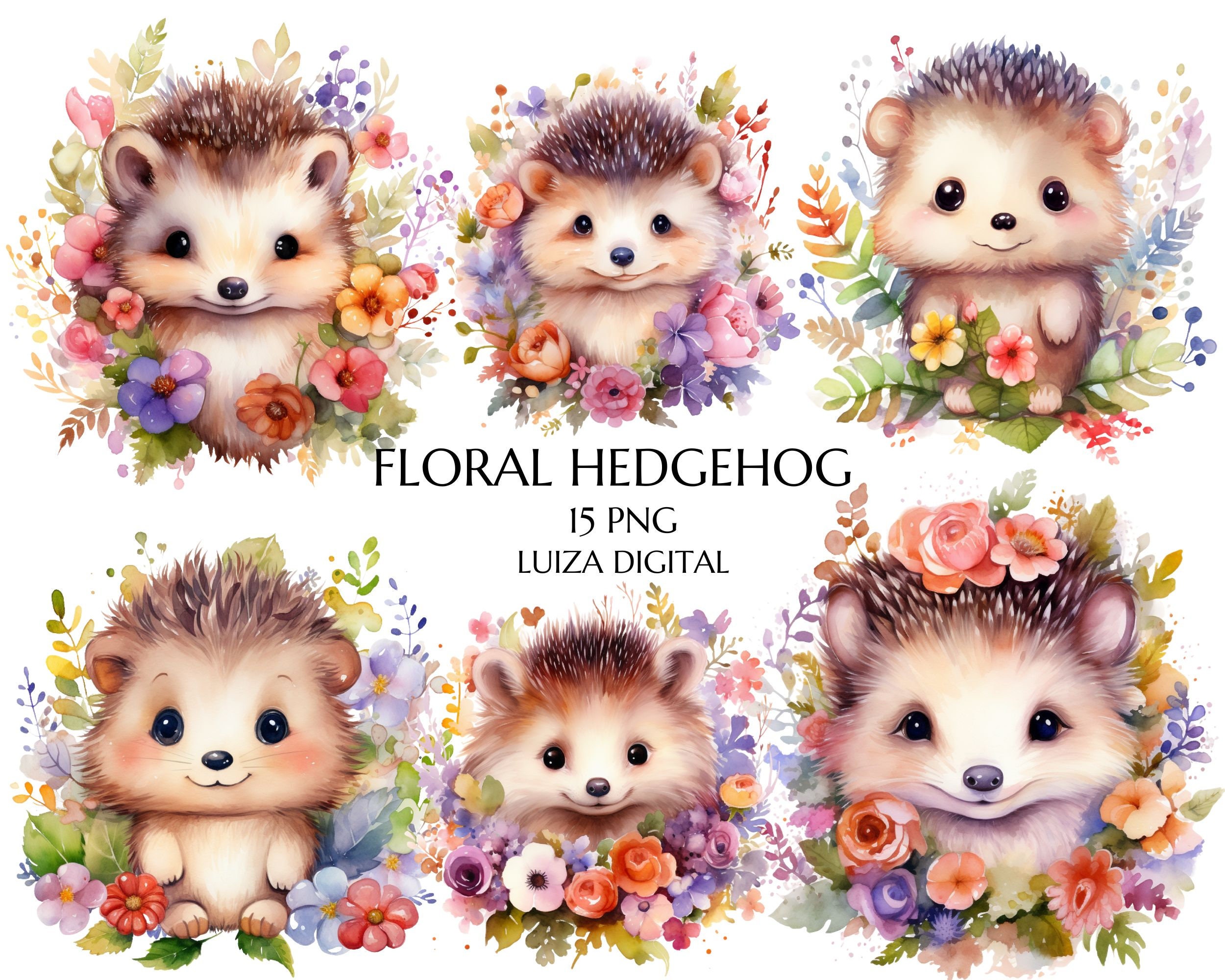Hedgehog Clipart Floral Hedgehog Clipart Nursery Spring - Etsy