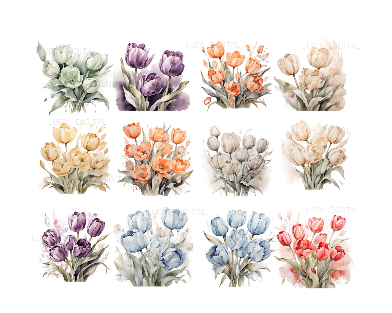 Watercolor Tulips Clipart, Tulips Clipart, Spring Clipart, Spring ...